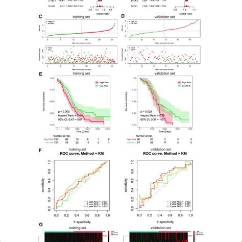 Identification Of De Frgs And Construction Of Diagnostic Signature