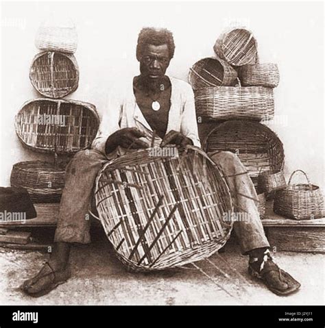 Bv11d Appears To Be A Reference Code Or Catalog Number Though Additional Context Is Needed To