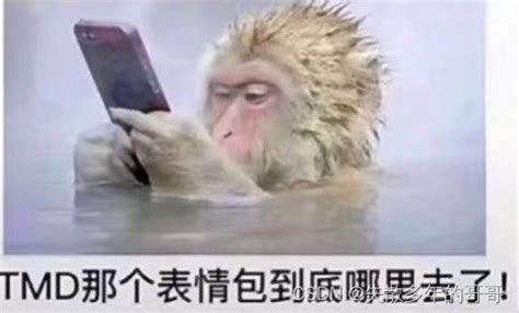 微信小程序项目实例——食堂吃哪个 随机吃饭小程序 csdn博客