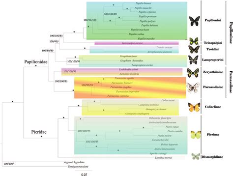The Genealogical Tree Based On Bayesian Inference For 36 Complete Or Download Scientific