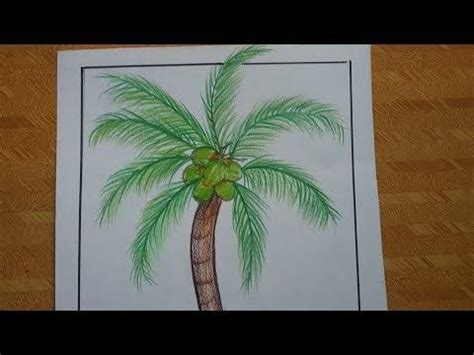 How To Draw A Coconut Tree Color Pencil Shading For Beginners Howtodrawstepbystep YouTube