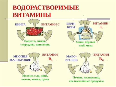 Буклет "Витамины" - Биология - 8 класс