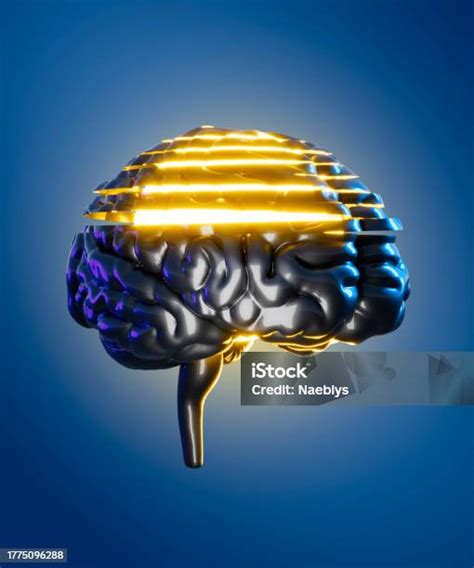 기억 상실 물건을 잊어 퇴행성 질환 뇌 문제 파킨슨 병과 알츠하이머 를 Desease 정신 건강 개념에 대한 스톡 사진 및 기타 이미지 Istock