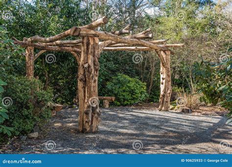 Tree Trunk Gazebo Stock Image Image Of Outdoors Seatac 90625933