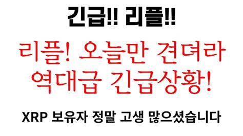 리플 미쳤습니다 리플 오늘만 견뎌라 역대급 긴급 상황 보유자 정말 고생 많으셨습니다 리플 리플코인 리플전망 Youtube