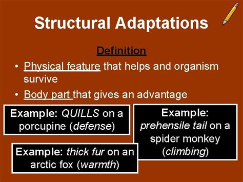 Whats An Adaptation A Structure Or Behavior That