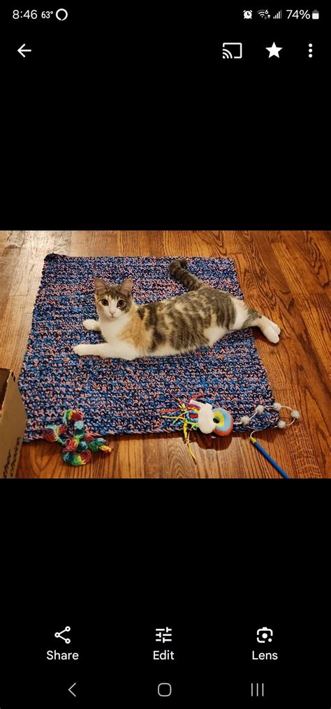 Crochet Rectangle Rug Free Pattern For Vintage Vibes