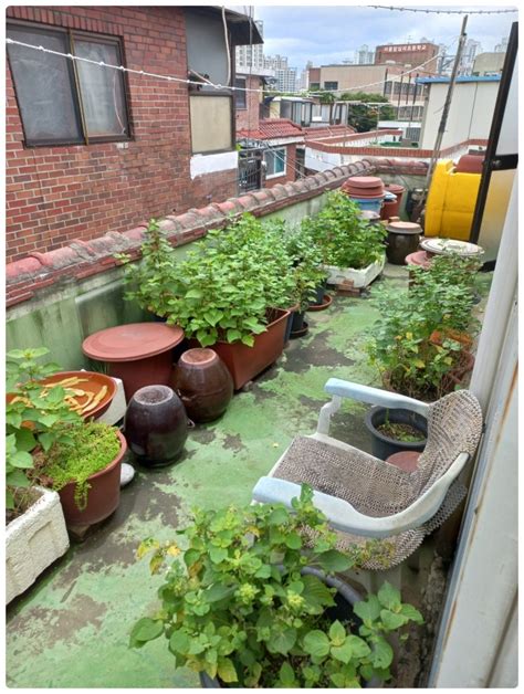 인천 서울 폐기물처리 업체 가정 화초 화분 흙 버리기 불연성 쓰레기봉투 마대자루로 정리 네이버 블로그