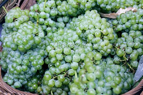 여름 과일 사진 무료 다운로드 Lovepik