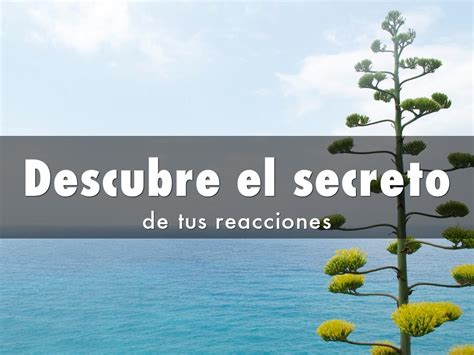 Descubre El Secreto By Laia Simon
