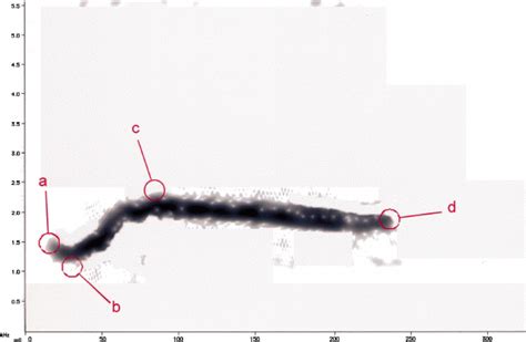 Sample Spectrogram On Screen Measurement Of Acoustic Variables Onset Download Scientific