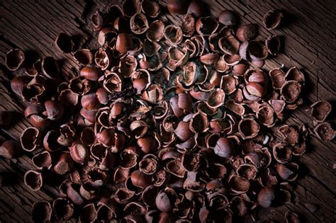 소박한 오래된 나무 테이블에 호두 커널과 전체 호두와 함께 여전히 생활 창조적 인 테이블 장식 건강한 식생활에 대한 스톡 사진 및 기타 이미지 Istock