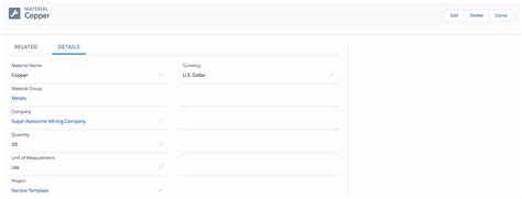 Create Project From Template Api Working With Custom Objects Certinia For Developers