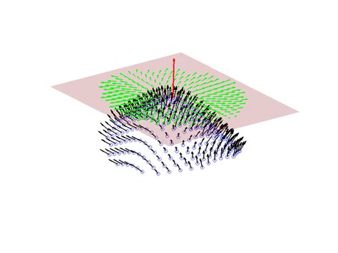The Neighborhood Of A Scale Space Extremum With Normals And Projected