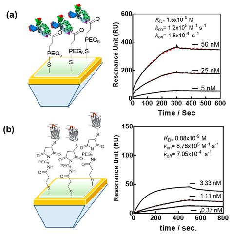 Plasmonic Approaches For The Detection Of Sars Cov 2 Viral Particles