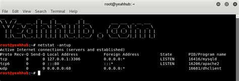 Linux System Reconnaissance Top Linux Commands Yeah Hub