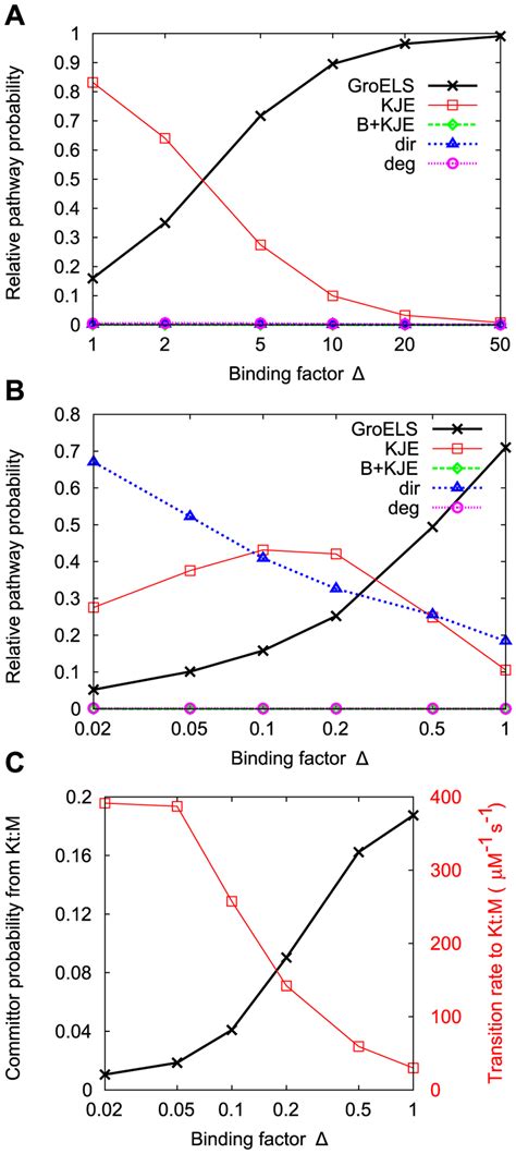 Switching Path Preferences Using Binding Factors A Multiplicative Download Scientific Diagram