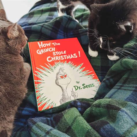 10 Best How The Grinch Stole Christmas Book Quotes