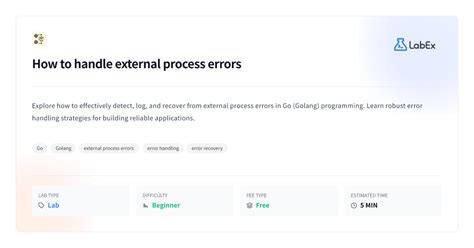 how to handle external process errors labex