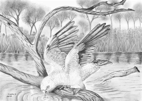 Really Pretty And Detailed Nature Drawing Nature Sketch Cool Pencil Drawings