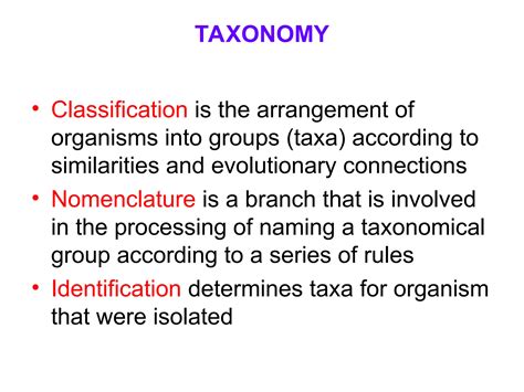 Bacteria Taxonomy Epidemiology Morphology Ppt