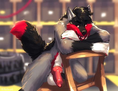 Rule 34 Animal Genitalia Animal Penis Anthro Balls Black Hair Black