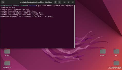 在linux环境下运行tinywebserver 运行一个tiny服务器 csdn博客