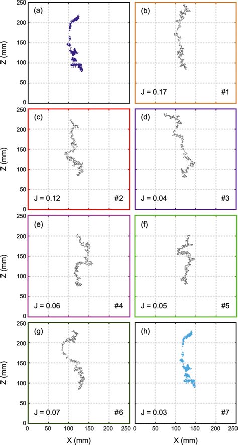 Images At The End Of The Experiment As A Basis For Perceptual Download Scientific Diagram