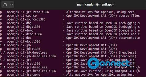 Verify And Check JAVA Installation On Ubuntu CONNECTwww