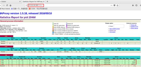 Linux企业运维——k8s高可用集群架构搭建详解一致性存储集群架构 Csdn博客