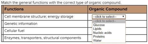 Match The General Functions With The Correct Type Of Organic Compound Functions Cell Membrane