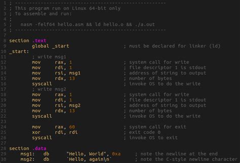 On A Trip NASM Tutorial Program Structure P