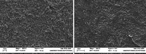 A Corrosion Of Copper In M H So With Ctab Post Micellar Download Scientific Diagram