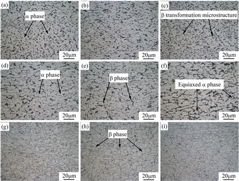 Effect Of Solution Aging Treatment On Microstructure And Properties Of