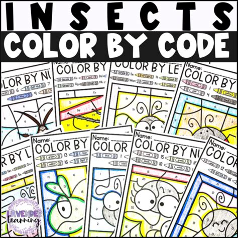 Bug And Insect Color By Code Insect Color By Number Insect Color By Letter Made By Teachers