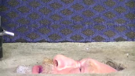 Free Riding Boots Porn Videos Xhamster