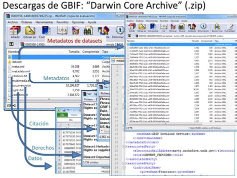 Ppt Descargas De Gbif “darwin Core Archive” Zip Powerpoint