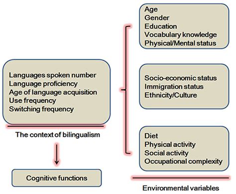 Frontiers Lifelong Bilingualism Functions As An Alternative Intervention For Cognitive Reserve