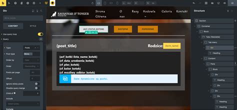 How To Create A Nestable Tabs Loop Query Based On ACF Select Field How To Bricks Community