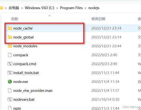 下载安装npm配置环境变量详细教程 Csdn博客