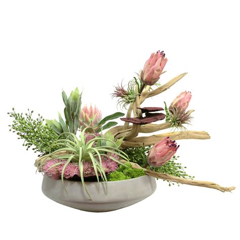 Protea Tillandsia Berry Stems And Dried Mushrooms On Ghostwood In Co Ldf Silk