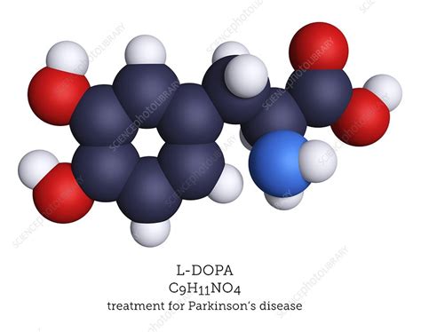 L Dopa Parkinsons Medication Molecular Model Stock Image C040