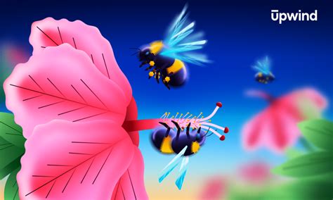 Ebpf Versus Kernel Extensions Upwind