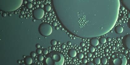 Bioinformatics Standard NGS Data Analysis Pipeline Celemics Inc