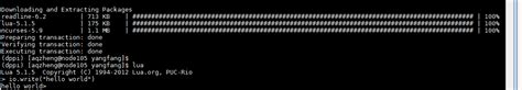 linux非root安装lua torch more than one operator matches these operands CSDN博客