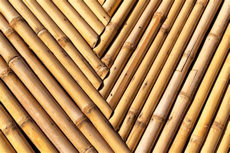 Premium Photo Full Frame Shot Of Bamboo Stack