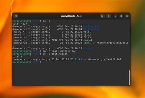 Command Cp In Linux Losst
