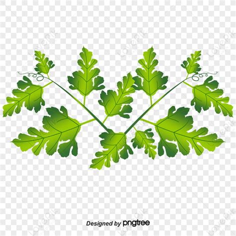 벡터 수박 일러스트 잎자연장식적인본질적인 Png 일러스트 무료 다운로드 Lovepik