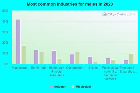 Nettleton Mississippi Ms 38858 38862 Profile Population Maps