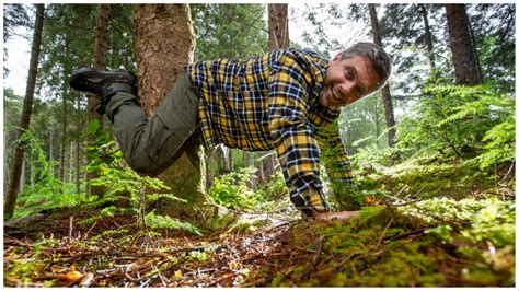 Inside Bizarre Tree Hugging Competition Taking Place This Weekend You